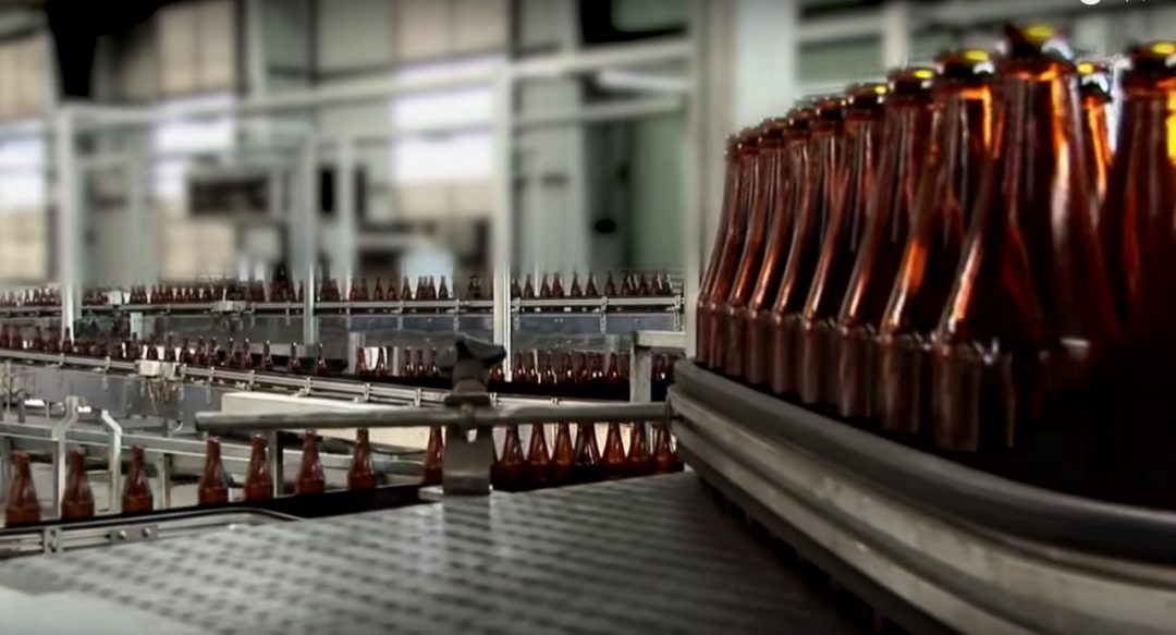 About Us | GMP Trust